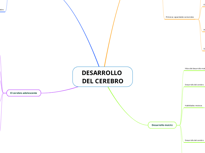 DESARROLLO DEL CEREBRO - Mind Map